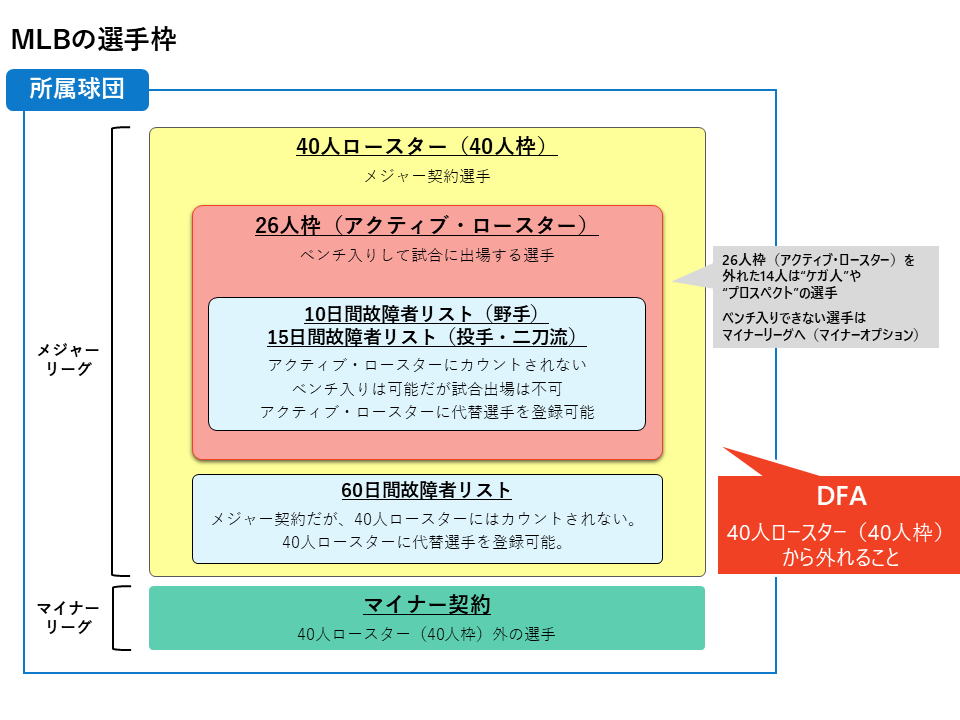 【MLB】DFAとは？仕組み・流れ・選手の選択肢をわかりやすく解説！ | やきゅうビレッジ